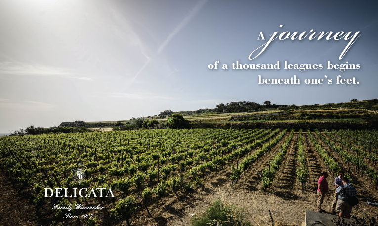 Emmanuel Delicata Winemaker Ltd. » Crush Time – 2015