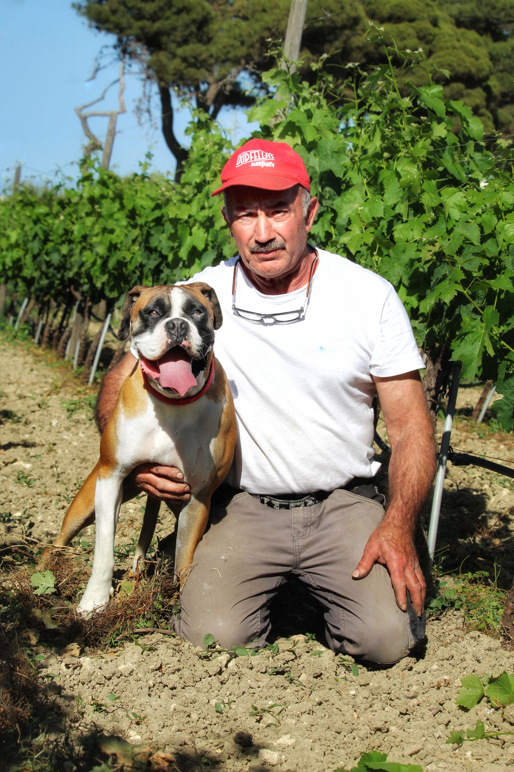 Emmanuel Delicata Winemaker Ltd. » All the helping hands