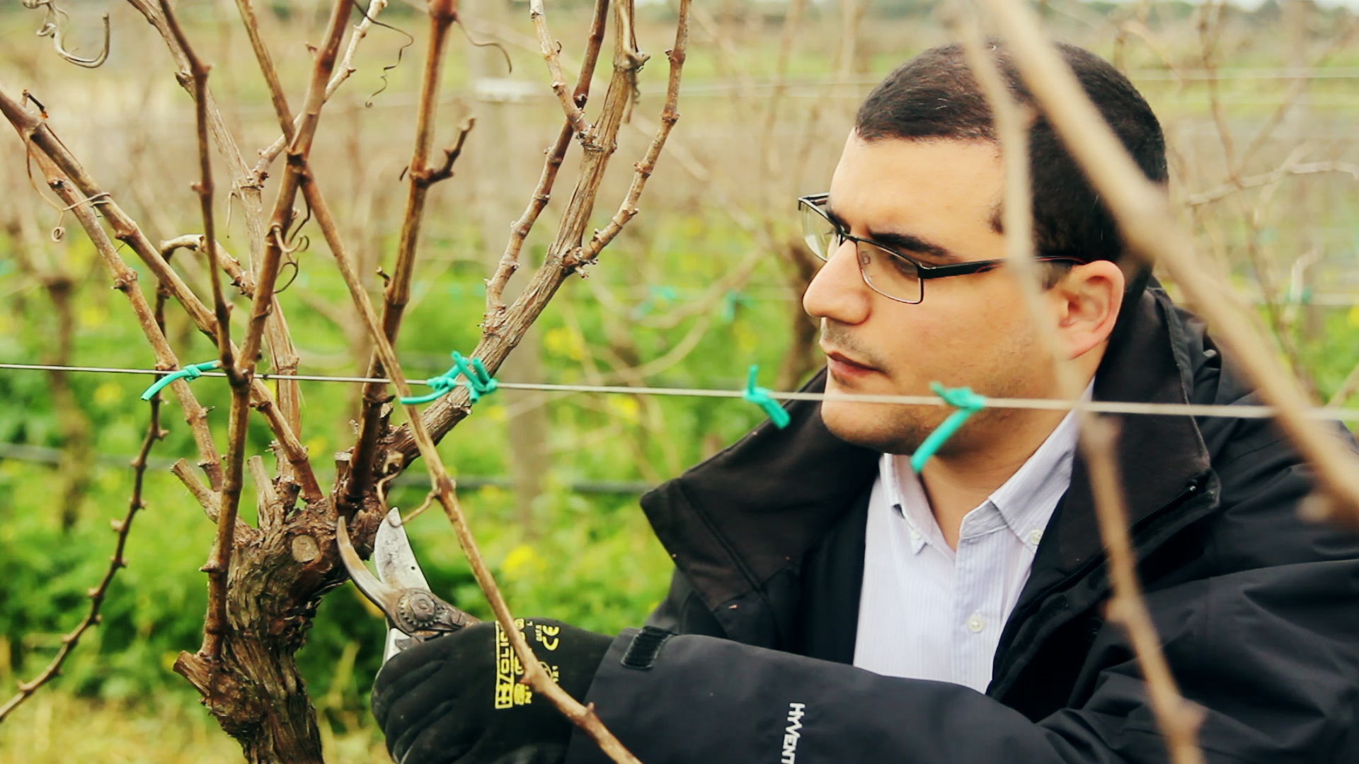 Emmanuel Delicata Winemaker Ltd. » Delicata carries out customised ...